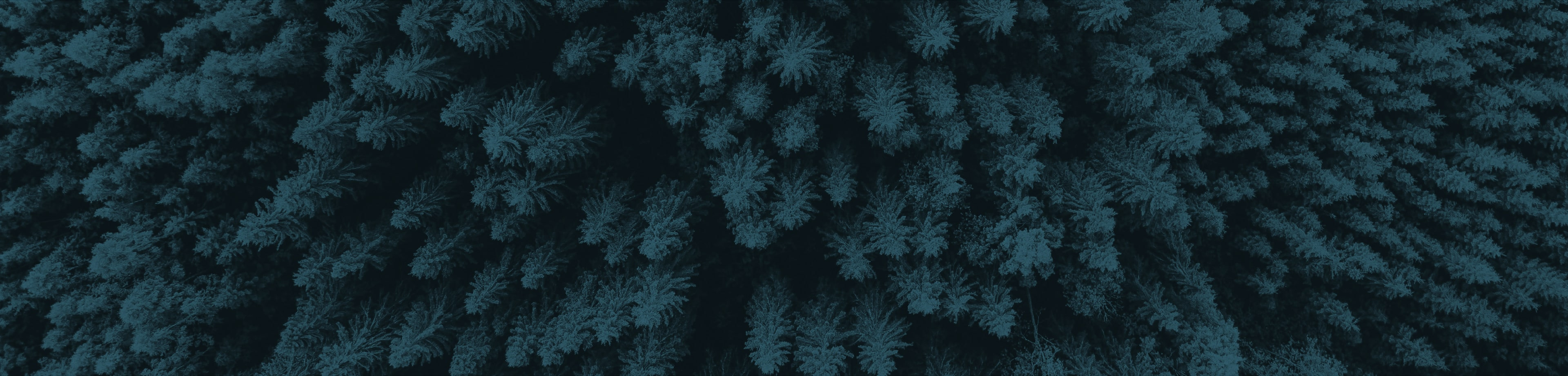 Be green - Guarantees of Origin. Your chance to choose. | Commerg